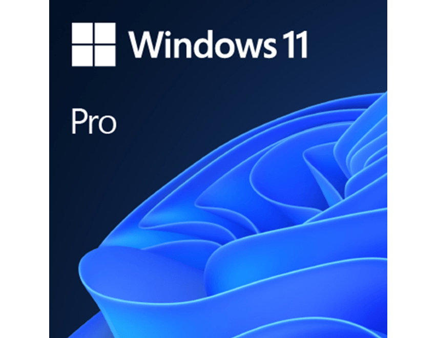 WINDOWS 11 PRO STANDARD WITH DOWNGRADE FACILITATION. INTEGRACION (KR5 ...