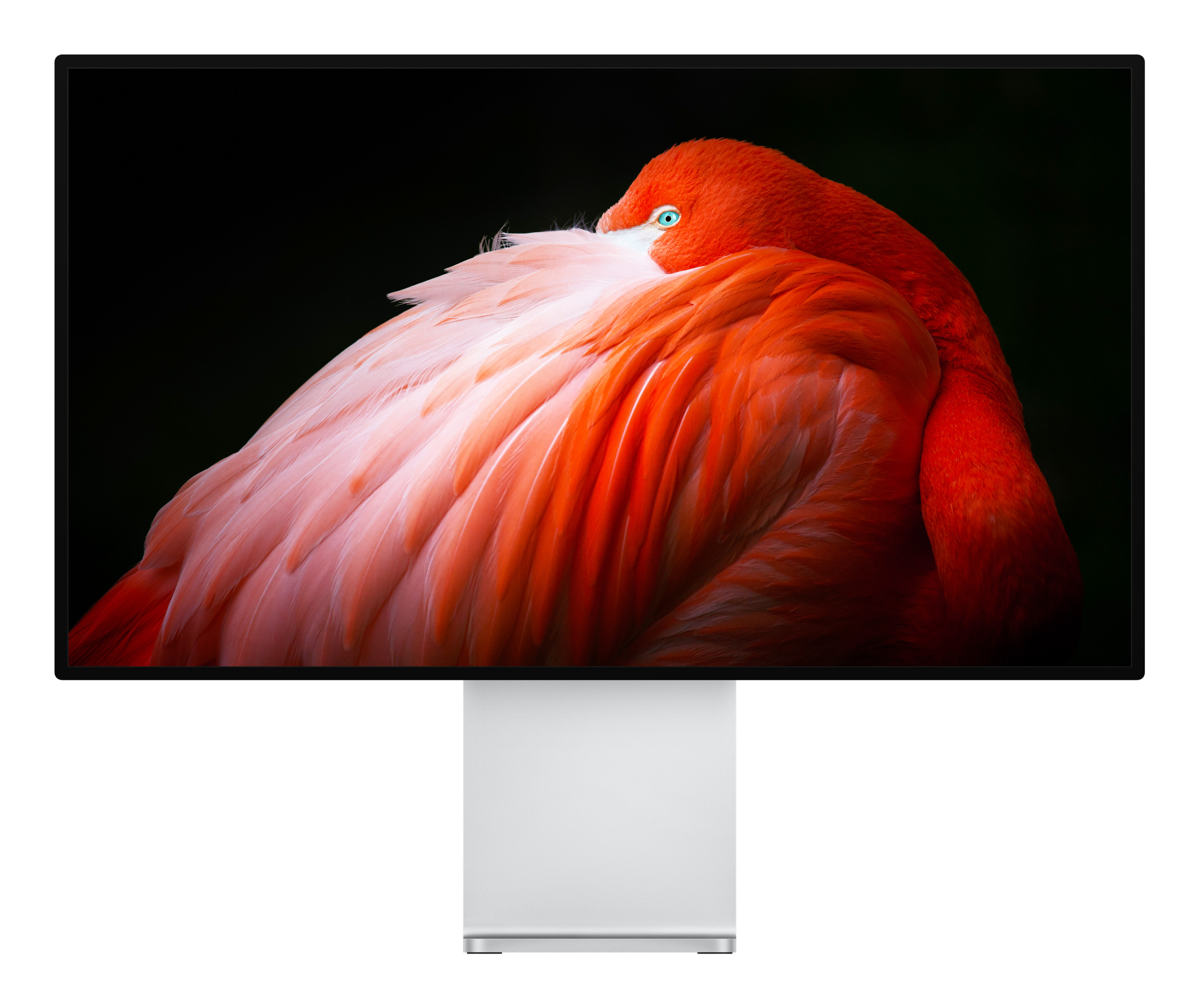 APPLE Pro Display XDR 32" LCD IPS 6K Ultra HD - PCBox
